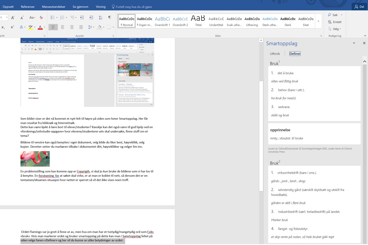 OneNote vs Word: What’s the difference?